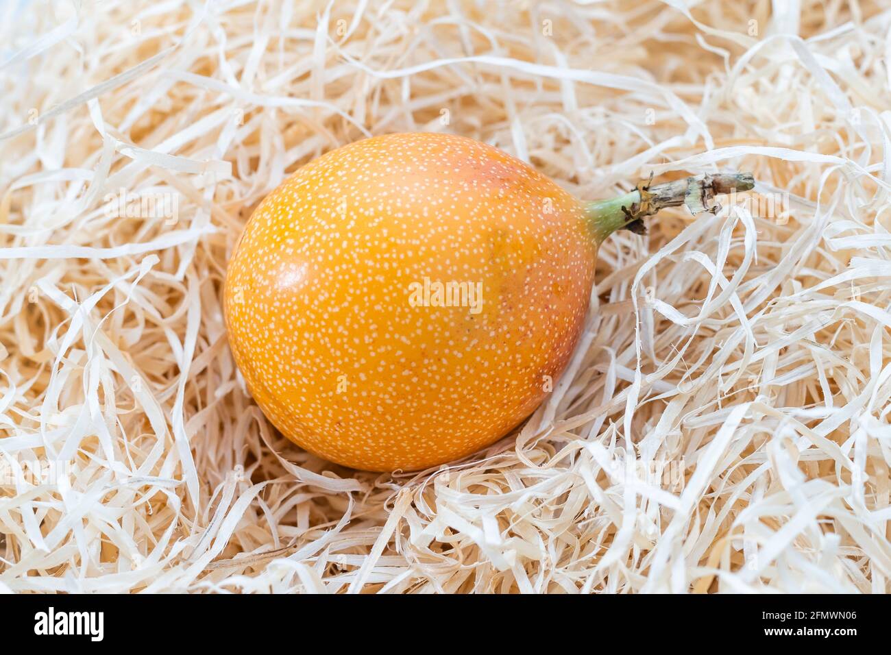 Granadilla. Whole yellow passion fruit on hay background. exotic fruits ...
