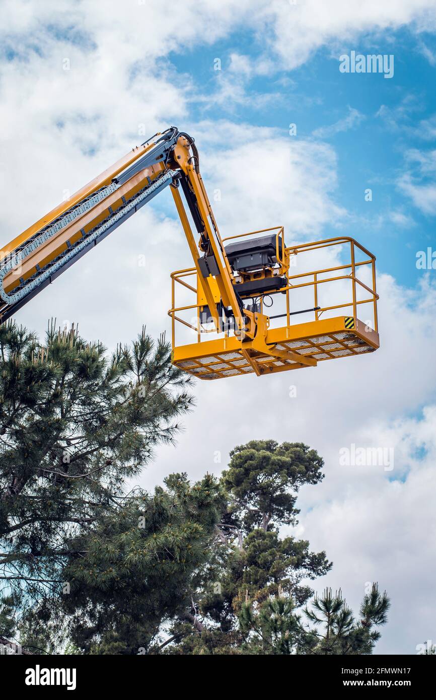 mobile elevating platform over the treetops for tree pruning Stock ...