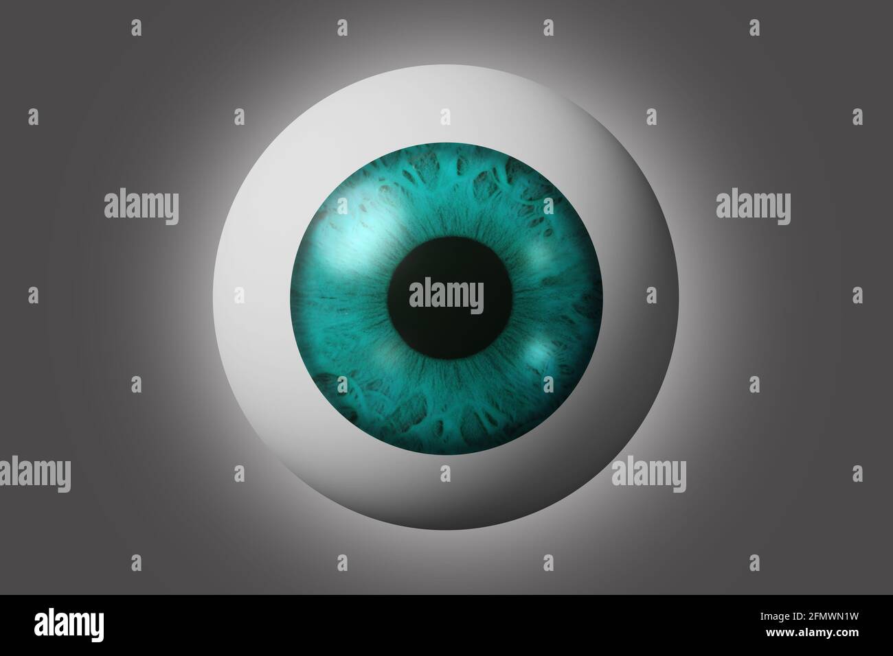 3d rendering of an human eye in a grey background Stock Photo - Alamy