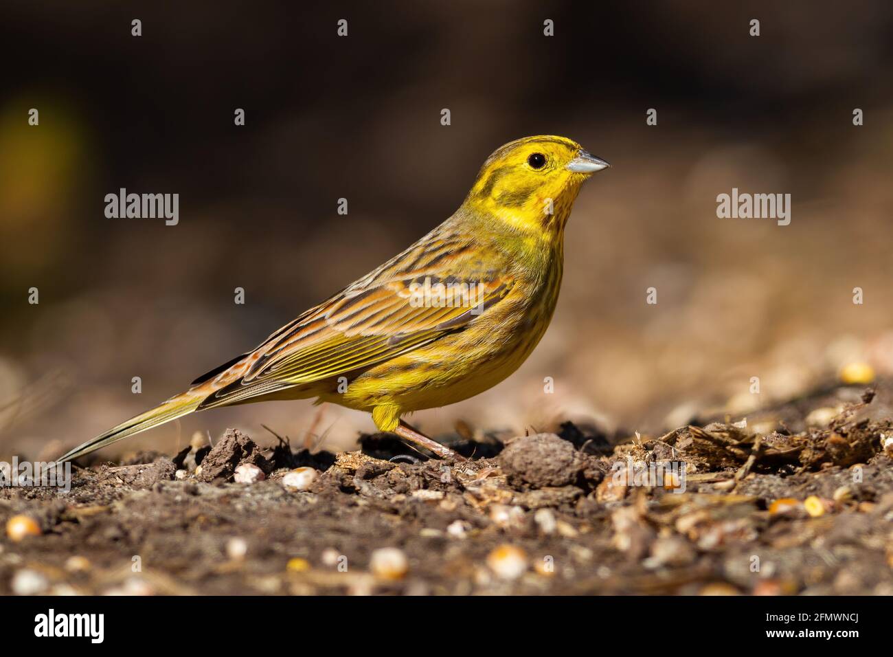 Side ground hi-res stock photography and images - Alamy