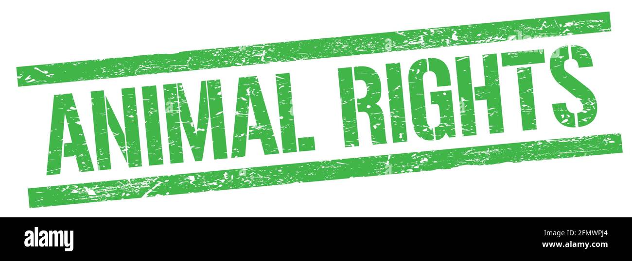 ANIMAL RIGHTS text on green grungy rectangle stamp sign Stock Photo - Alamy