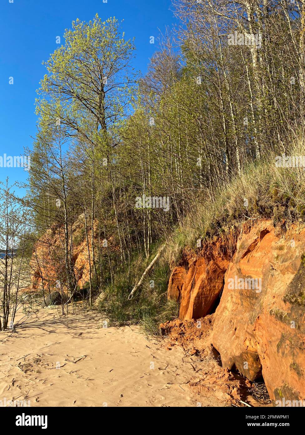 Orange sandstone rock on the shore of a rocky sea beach with caves and ...