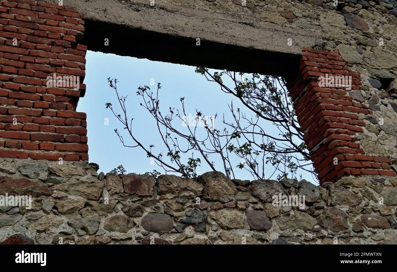 A peek through the window to the outdoors Stock Photo - Alamy