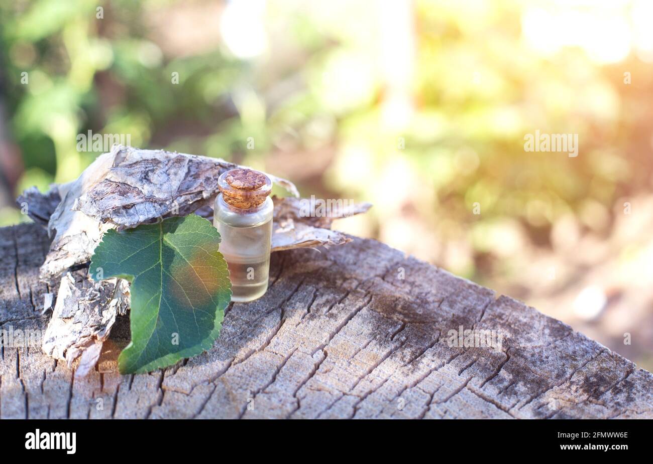 Bottle with the perfume of a wet tree. Perfume with the smell of wood ...