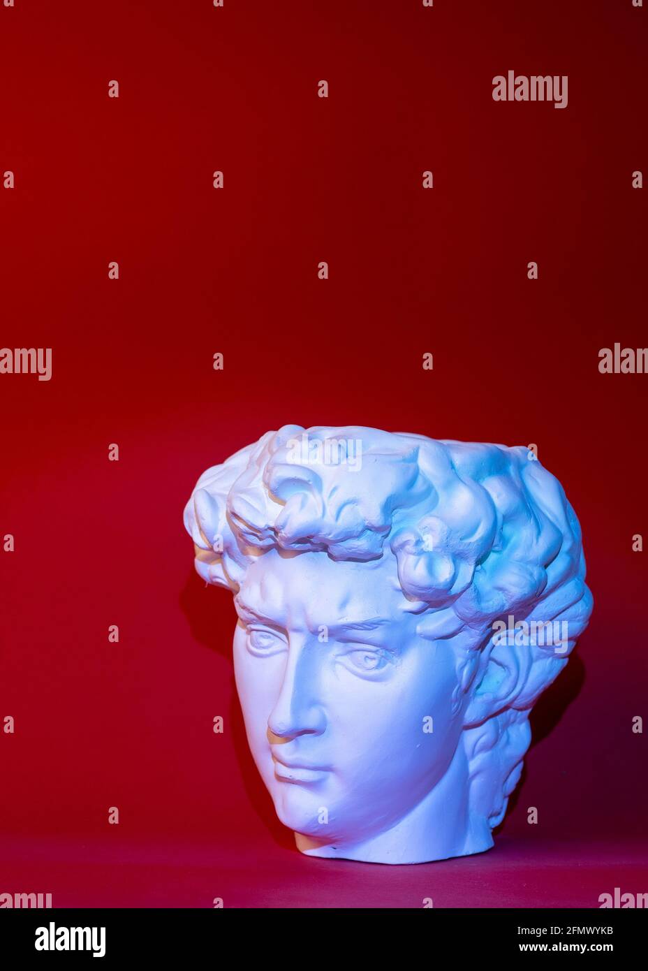 Gypsum statue of David's head. Michelangelo's David statue plaster copy Stock Photo - Alamy