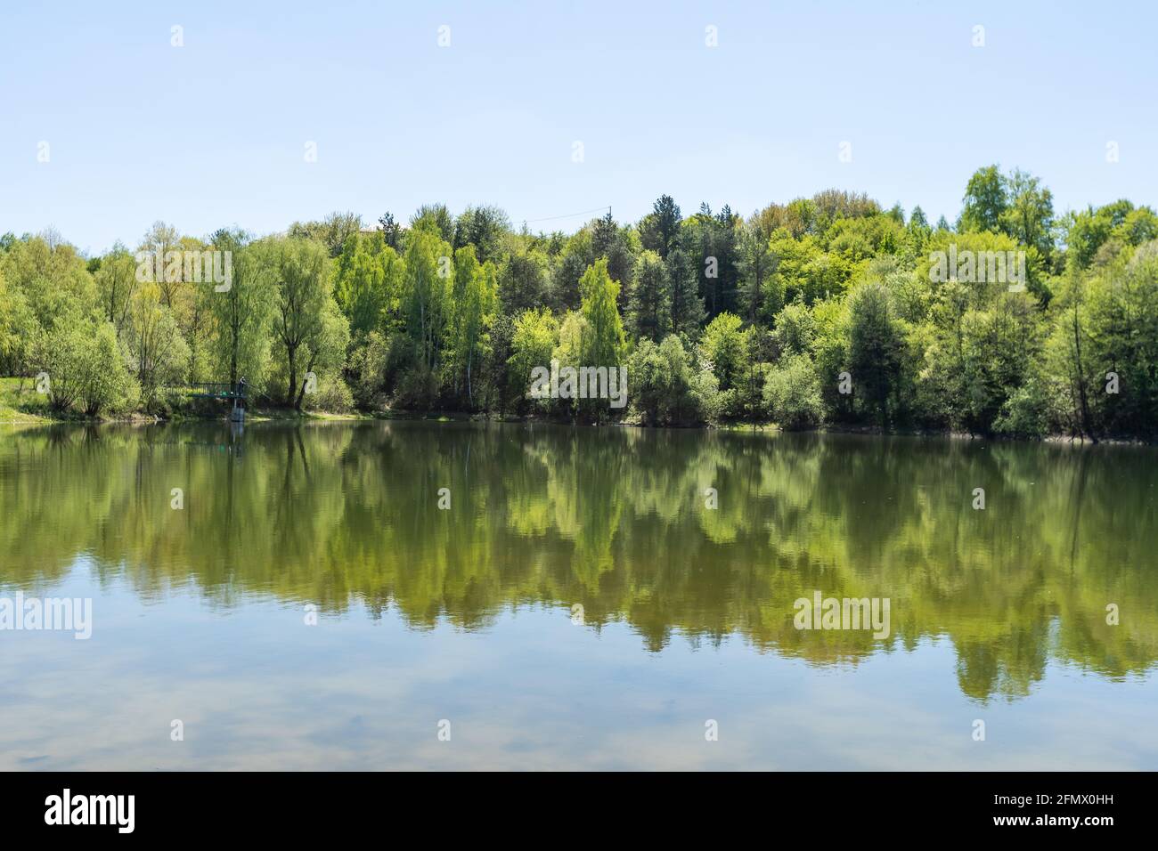 A close up of a pond of water Stock Photo - Alamy