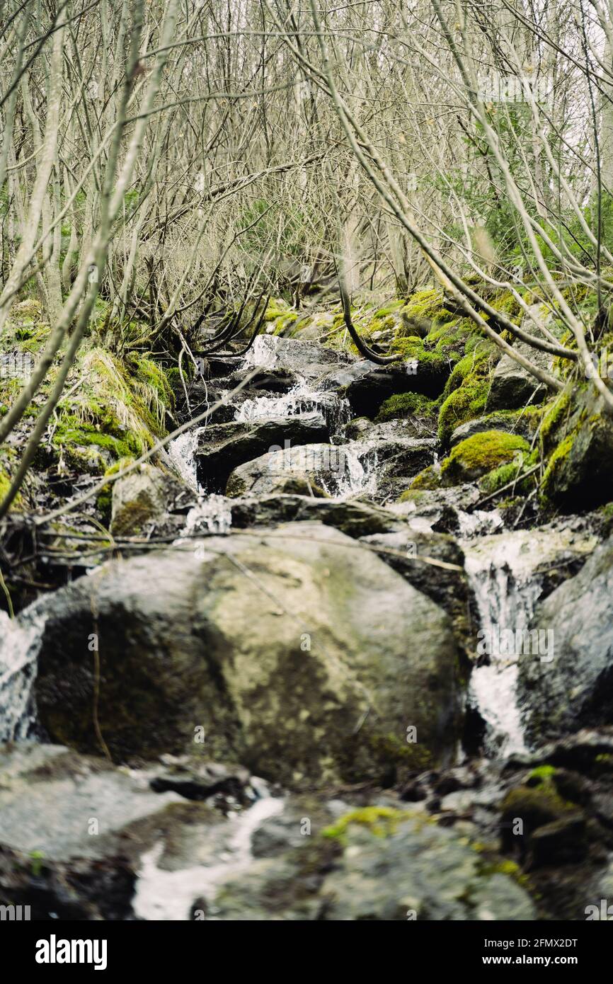 Bald mountain brook hi-res stock photography and images - Alamy