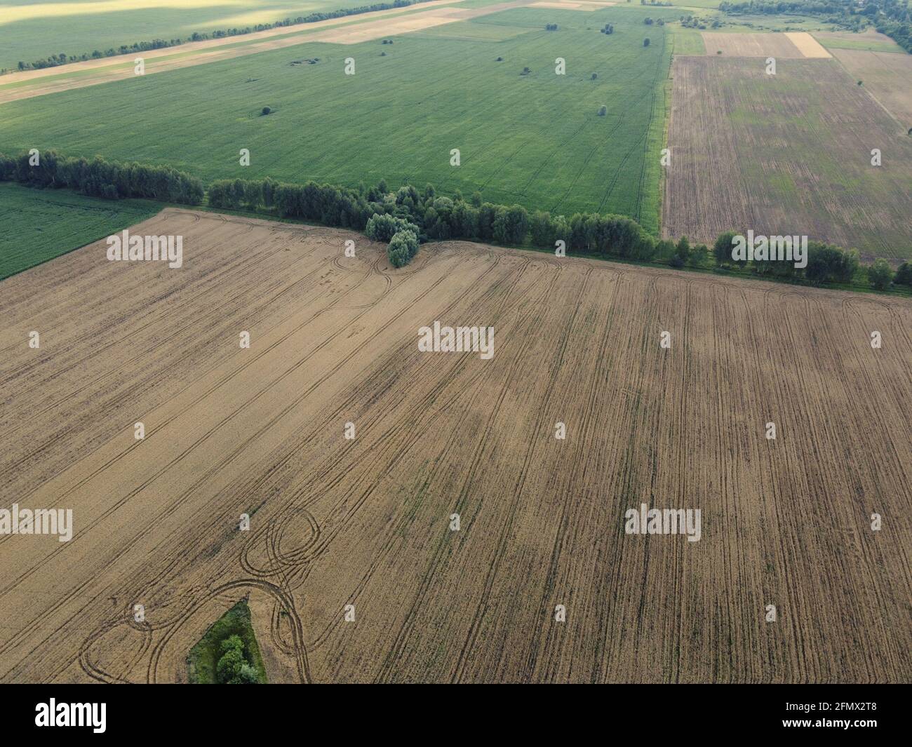 Agricultural fields, top view. Farmed fields, bird's-eye view of the ...