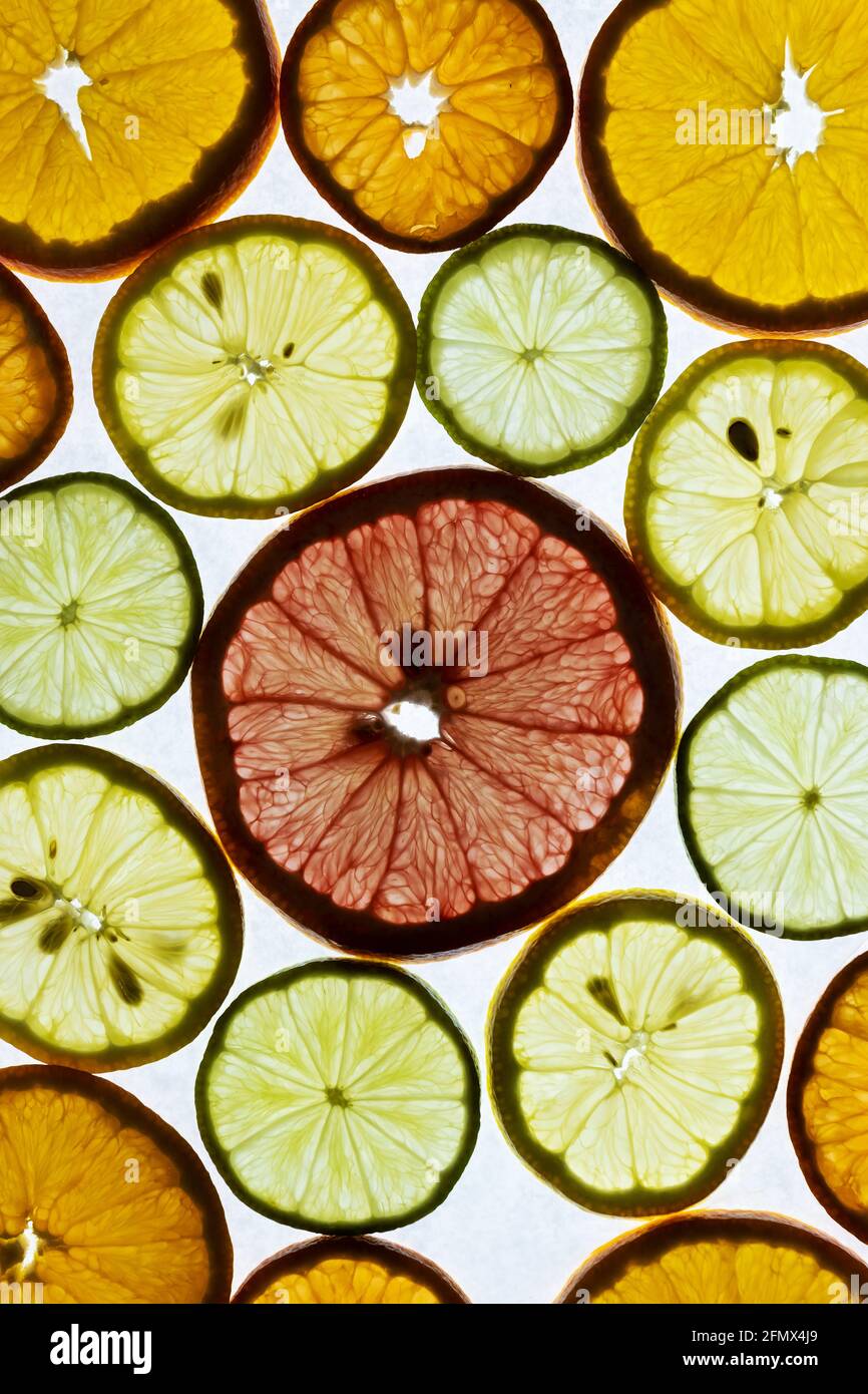 Slices of various citrus fruit with light coming through Stock Photo ...