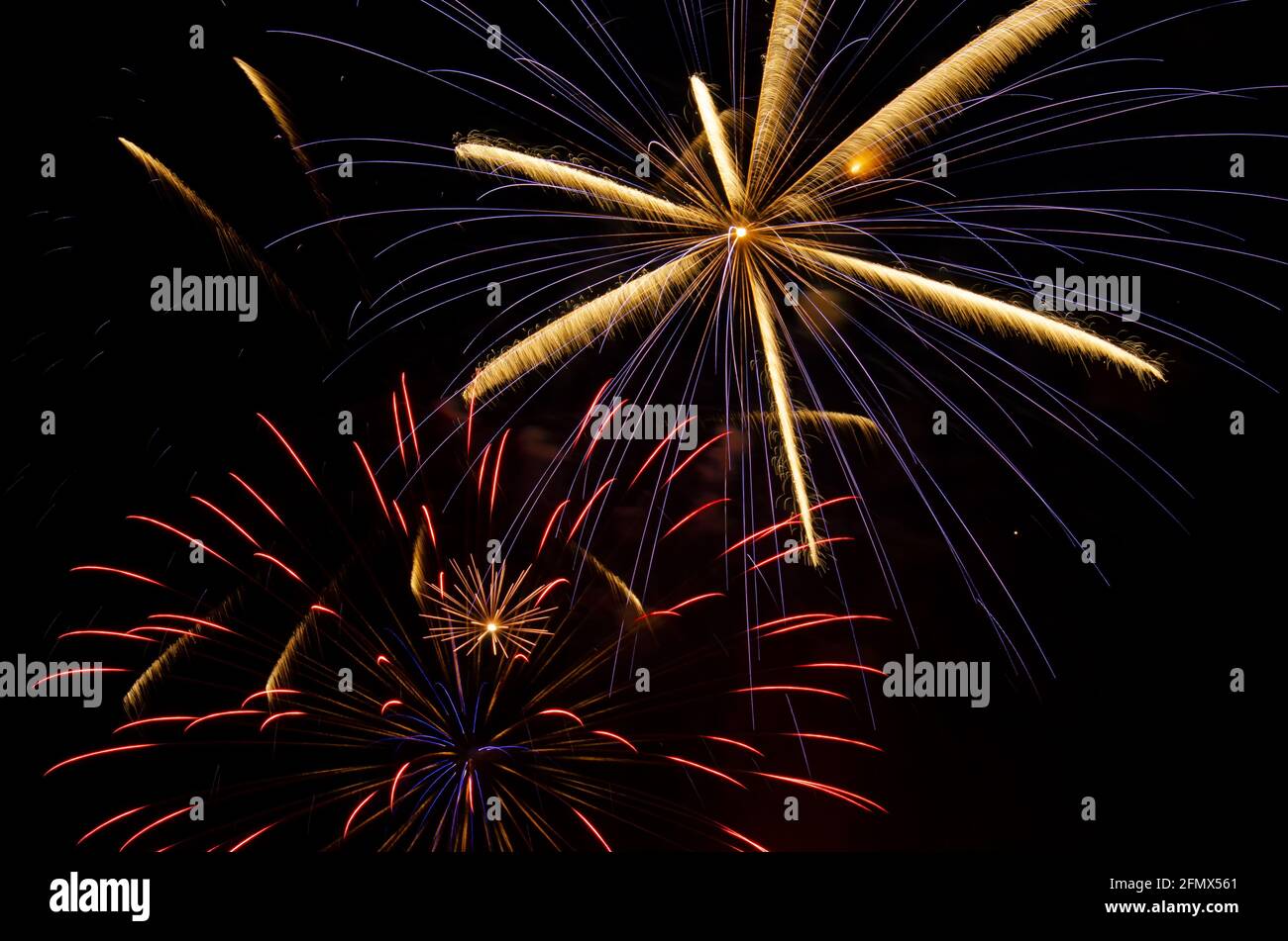 Bright festive fireworks against the night sky. Firework Fiery flowers ...