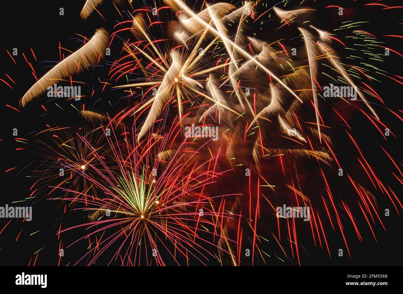 Bright festive fireworks against the night sky. Firework Fiery flowers ...