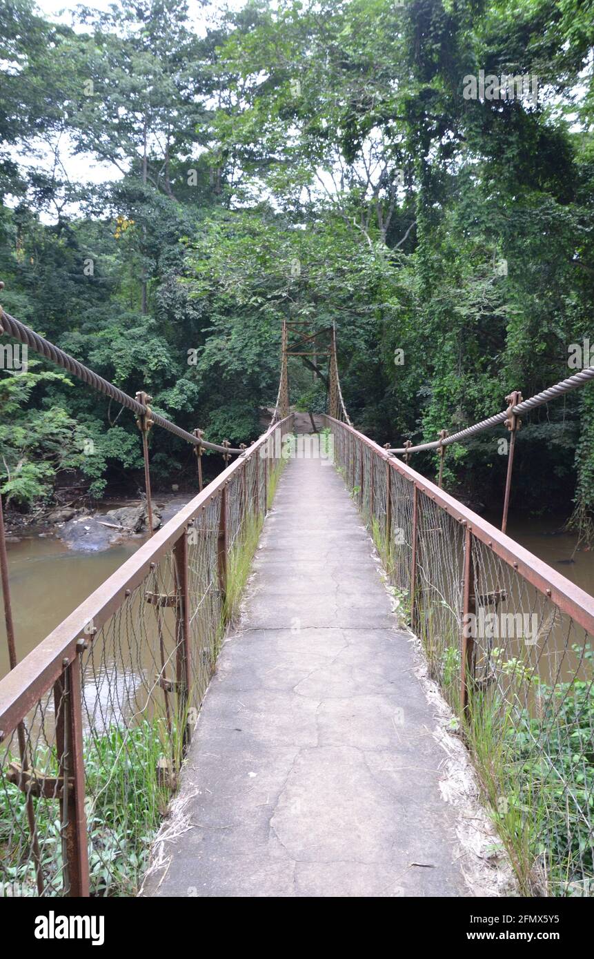 Osun Osogbo, Osun Sacred Grove and River: A bridge across Osun River ...
