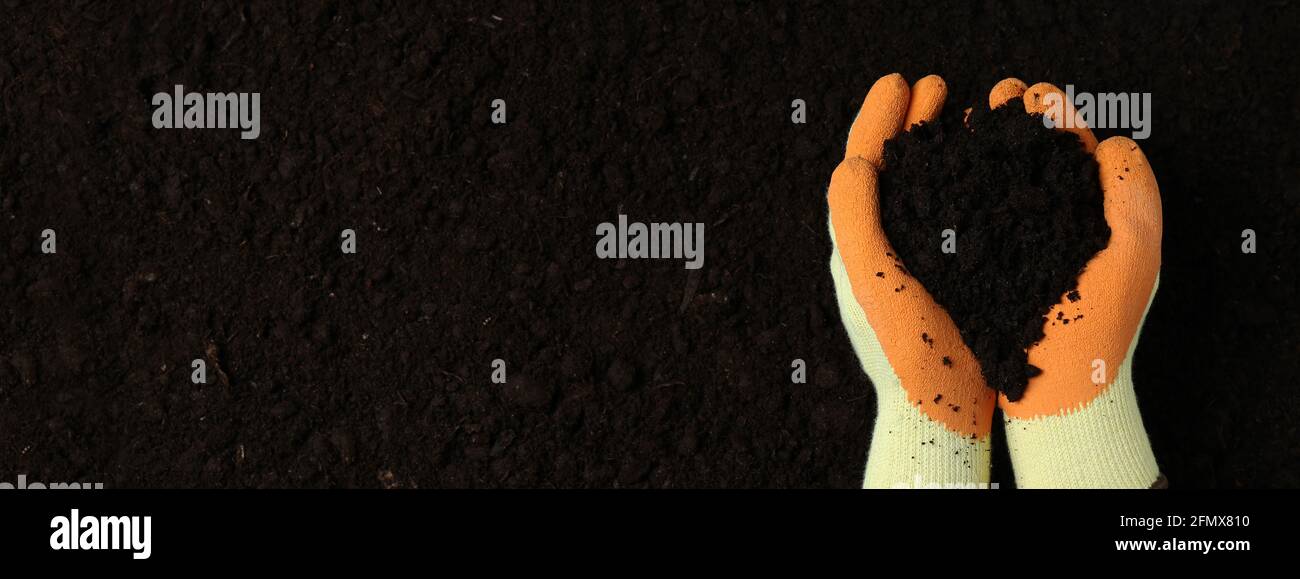 Hands in gloves hold soil on soil background Stock Photo - Alamy