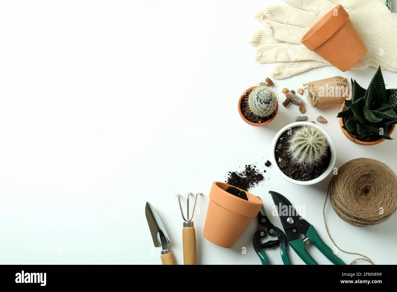 Concept of gardening on white background, space for text Stock Photo ...