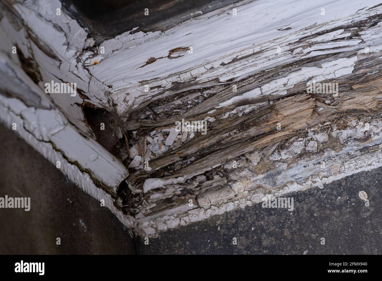 Rotten window sill hi-res stock photography and images - Alamy