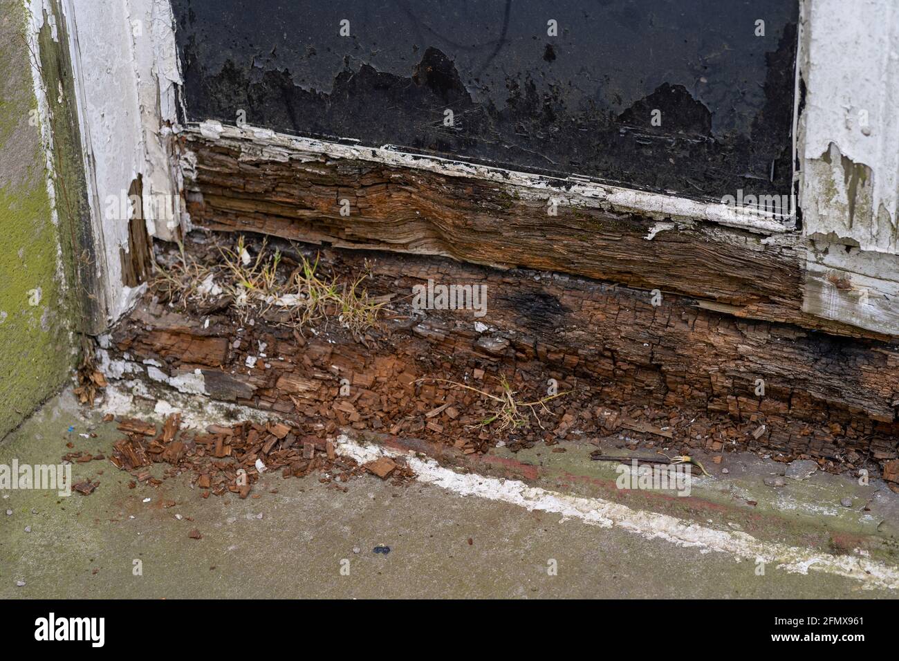 Wooden frame of an old window with peeling paint and rotten wood Stock ...