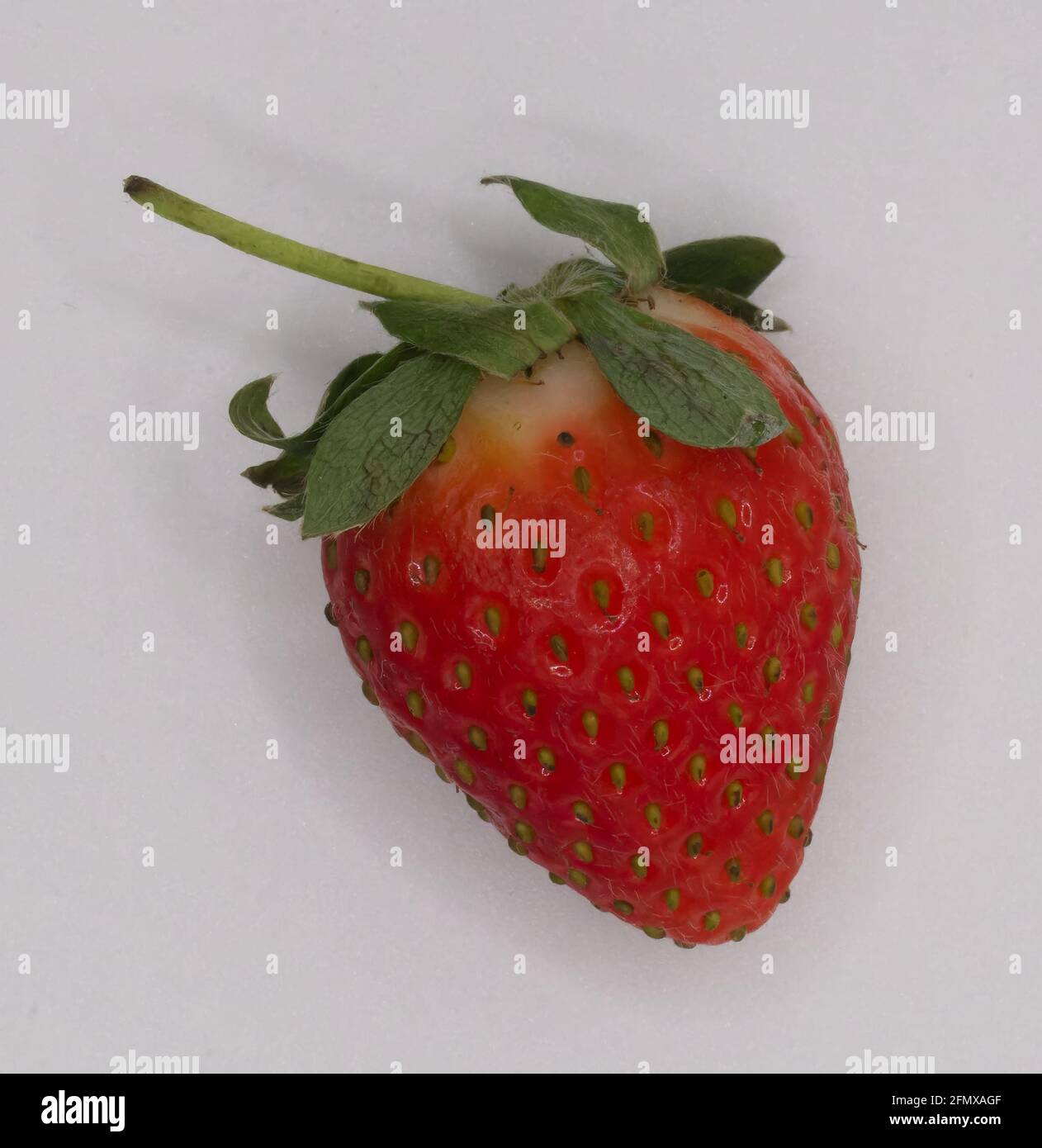 Single organic strawberry on hi-res stock photography and images - Alamy