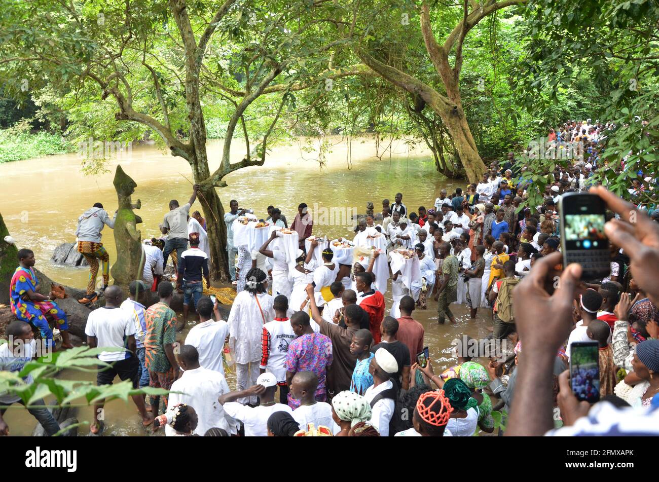 Osun Osogbo Spiritual Ecstasy: Adherent taking sacrifice to Osun ...