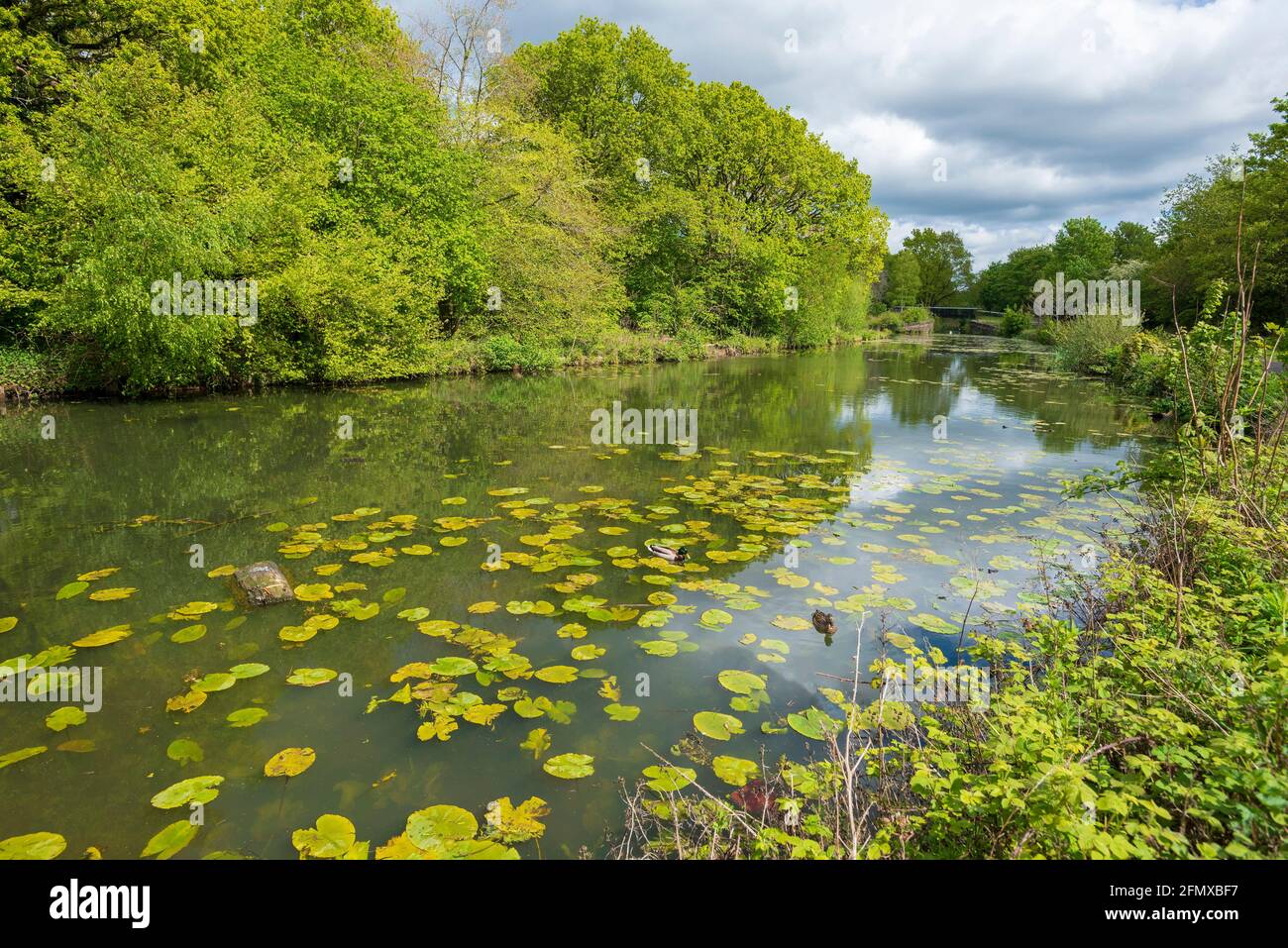 Sankey Valley park showing part of the Sankey Canal the first in the ...