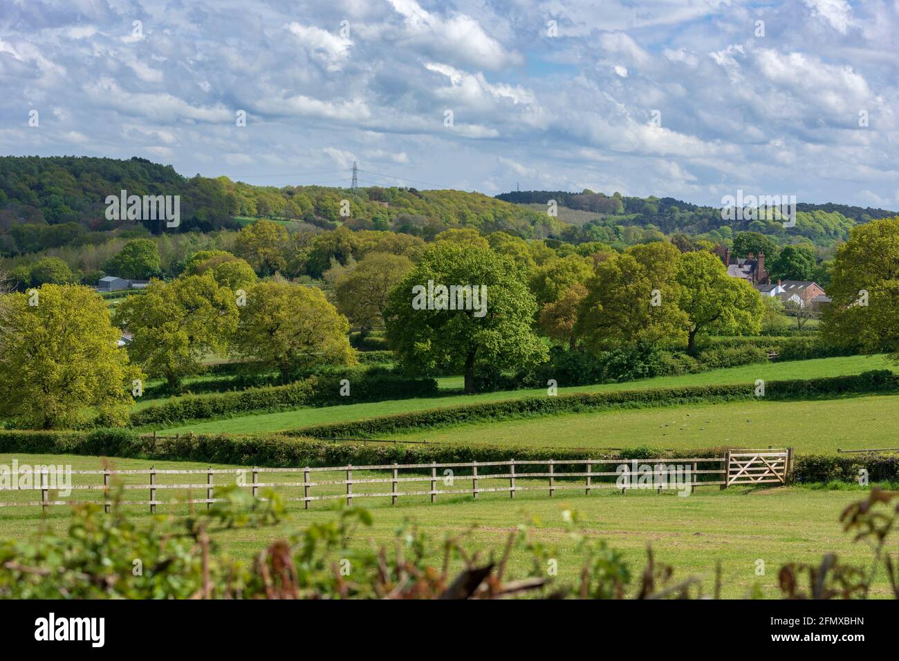 Rolling farm fields and woodlands near Helsby in Cheshire Stock Photo ...