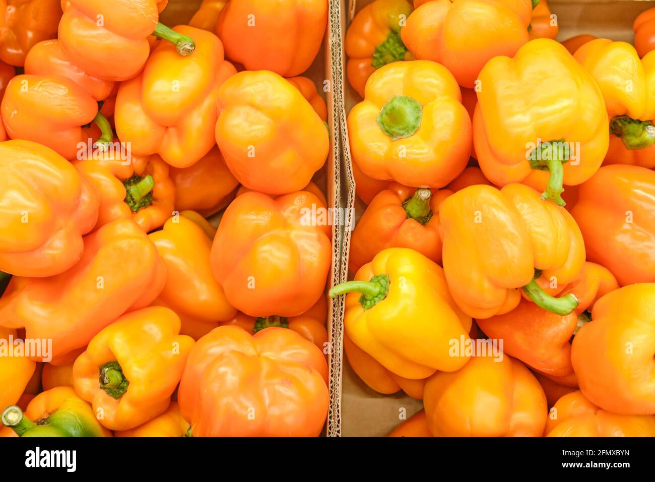 Yellow fresh paprika on the store shelf, food background Stock Photo ...
