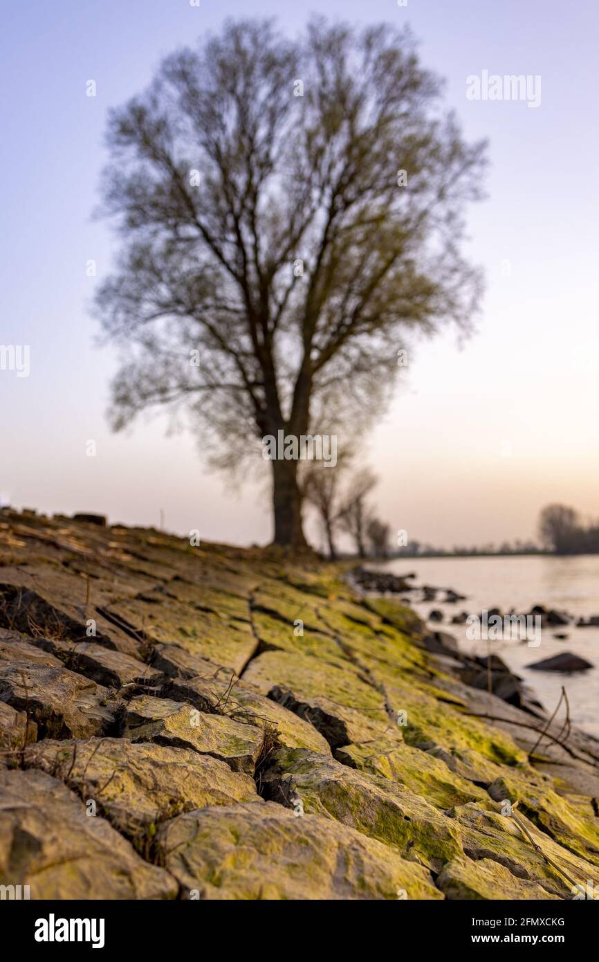 Riverbed rock edge protective layer from water wave erosion Stock Photo ...