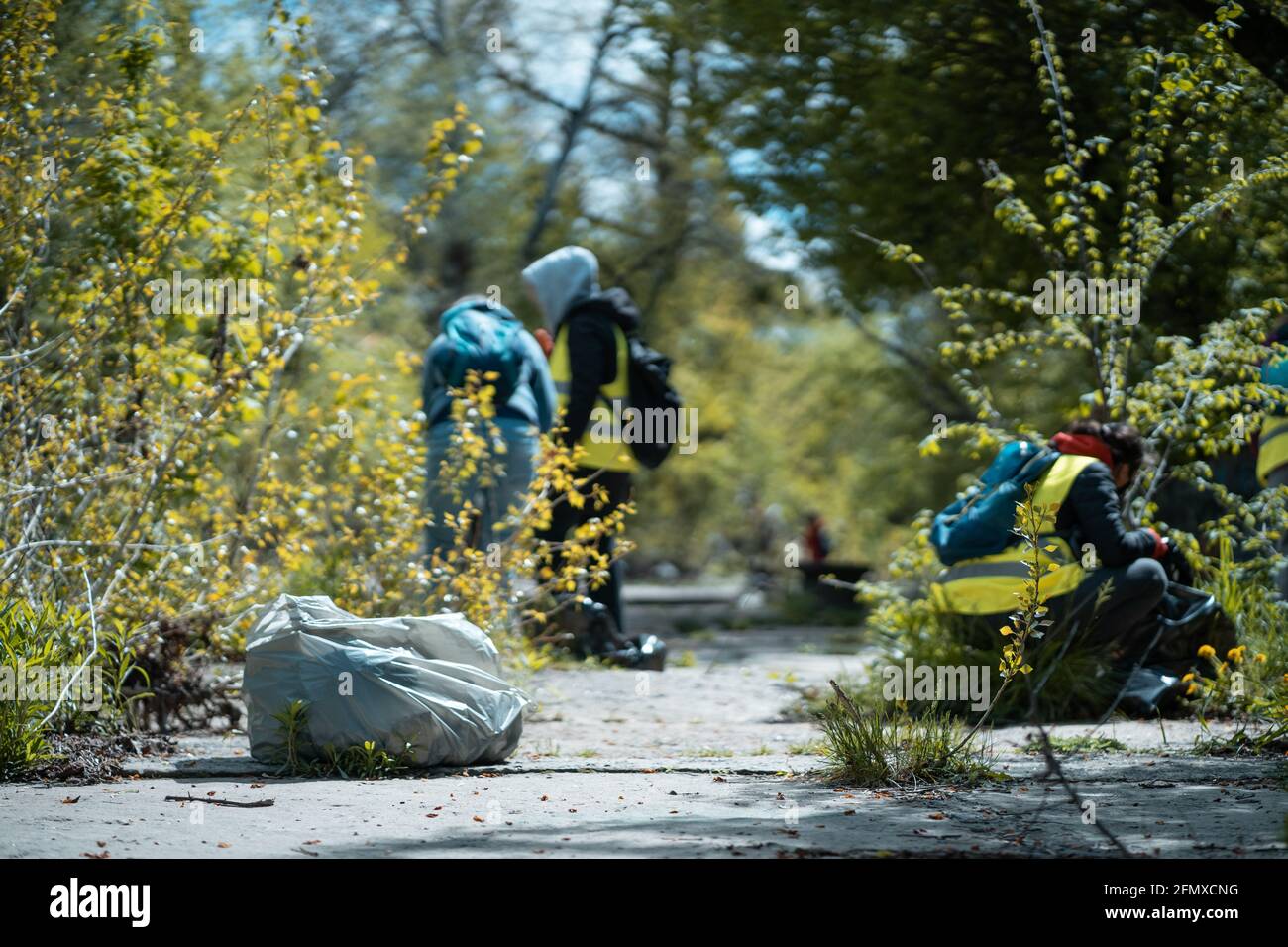 volunteers cleaning up city park or forest from plastic litter and ...