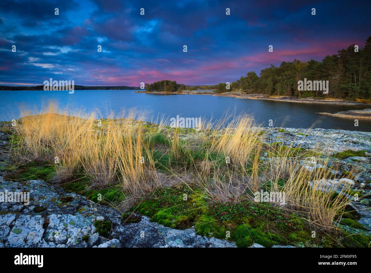 Colorful autumn evening landscape at the island Brattholmen in the lake ...