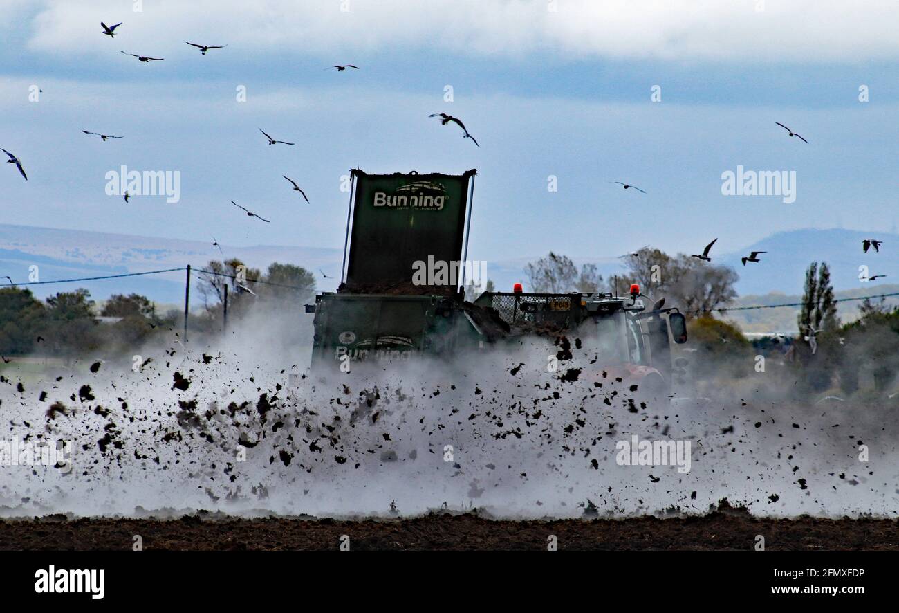 On a cool May afternoon muck is being spread on fields alongside Gorst ...