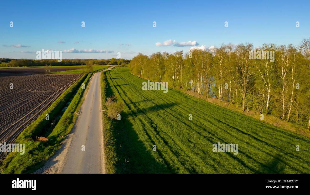 Aerial view with a drone of a spring wavy agricultural countryside ...