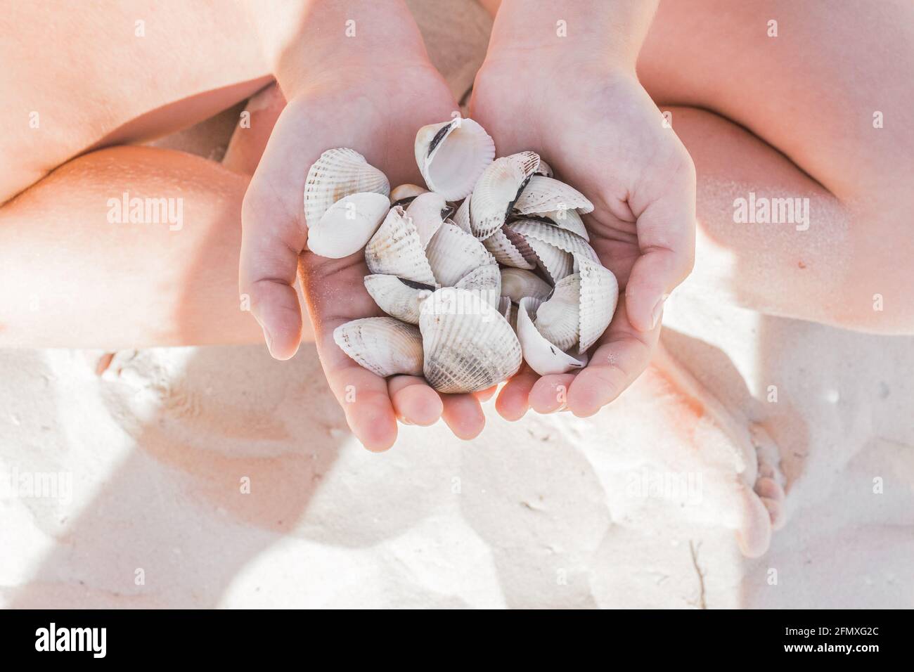 Young woman beach holding seashells hi-res stock photography and images ...