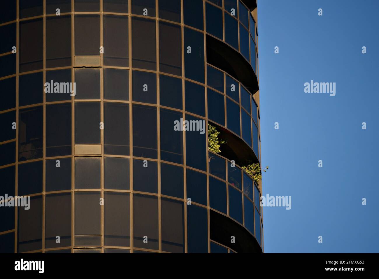 High-rise building cylindrical golden brown glass facade with ...