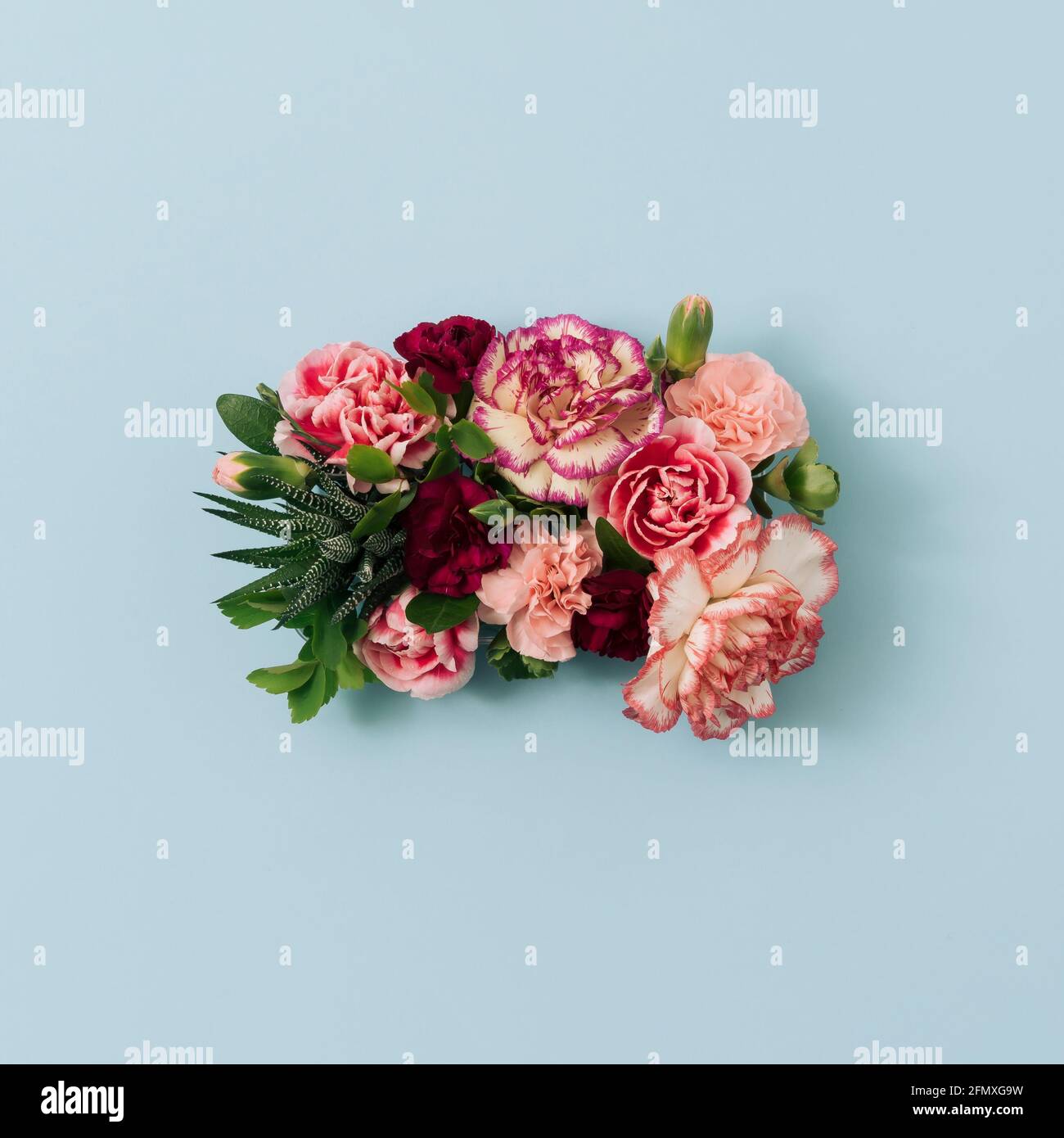 Bright spring flowers hi-res stock photography and images - Alamy