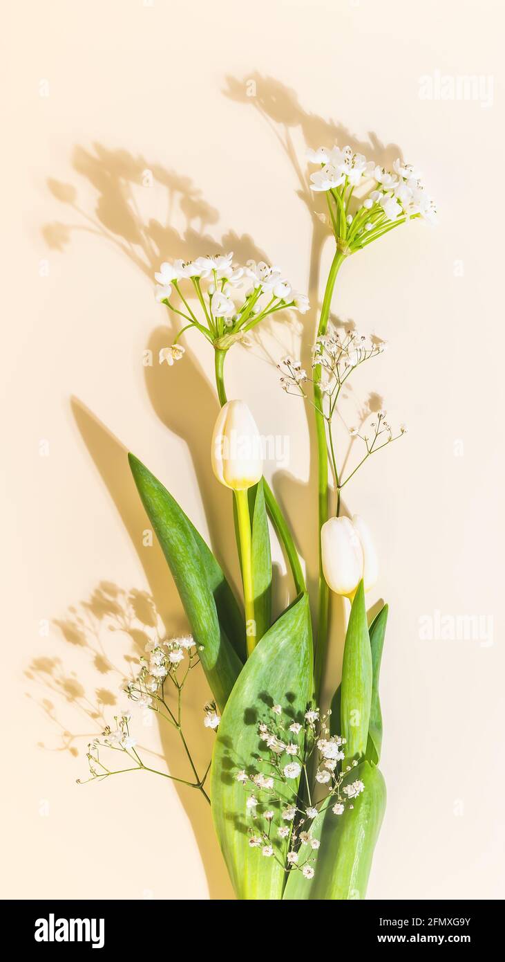 Romantic spring flower composition with tulips and alyssum on a light ...