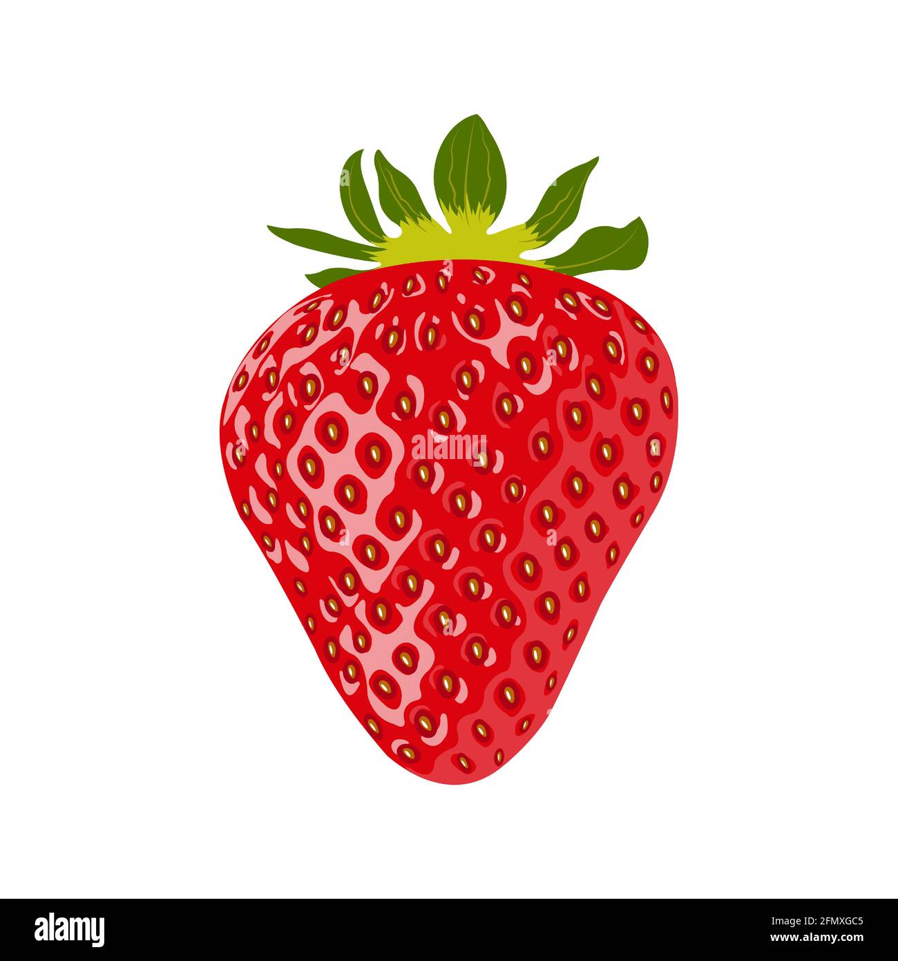 Ripe strawberry isolated on a white background close-up. Flat closeup ...