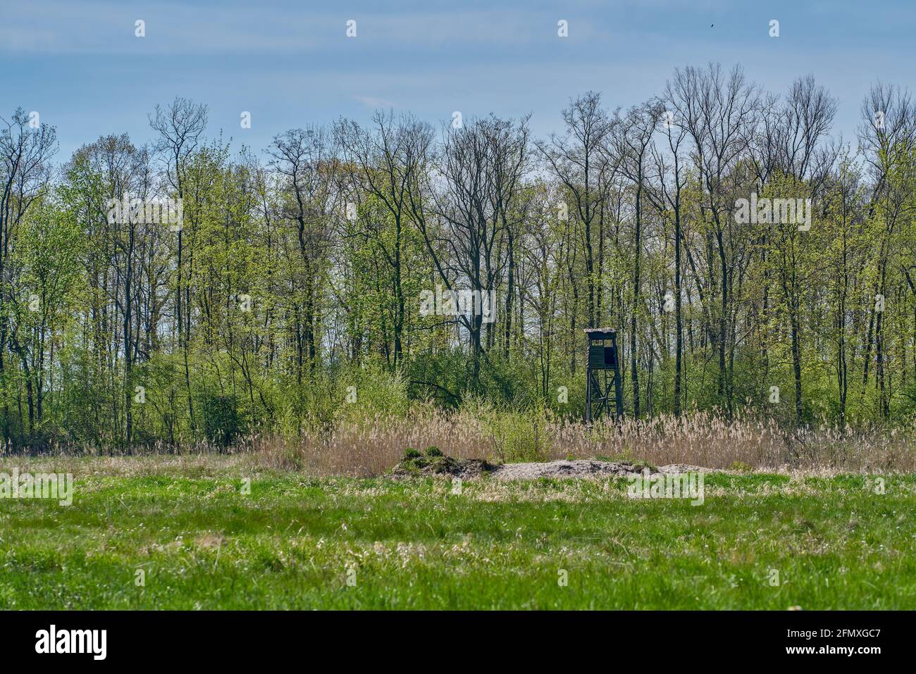 Spring rural landscape Lower Silesia Poland Stock Photo - Alamy