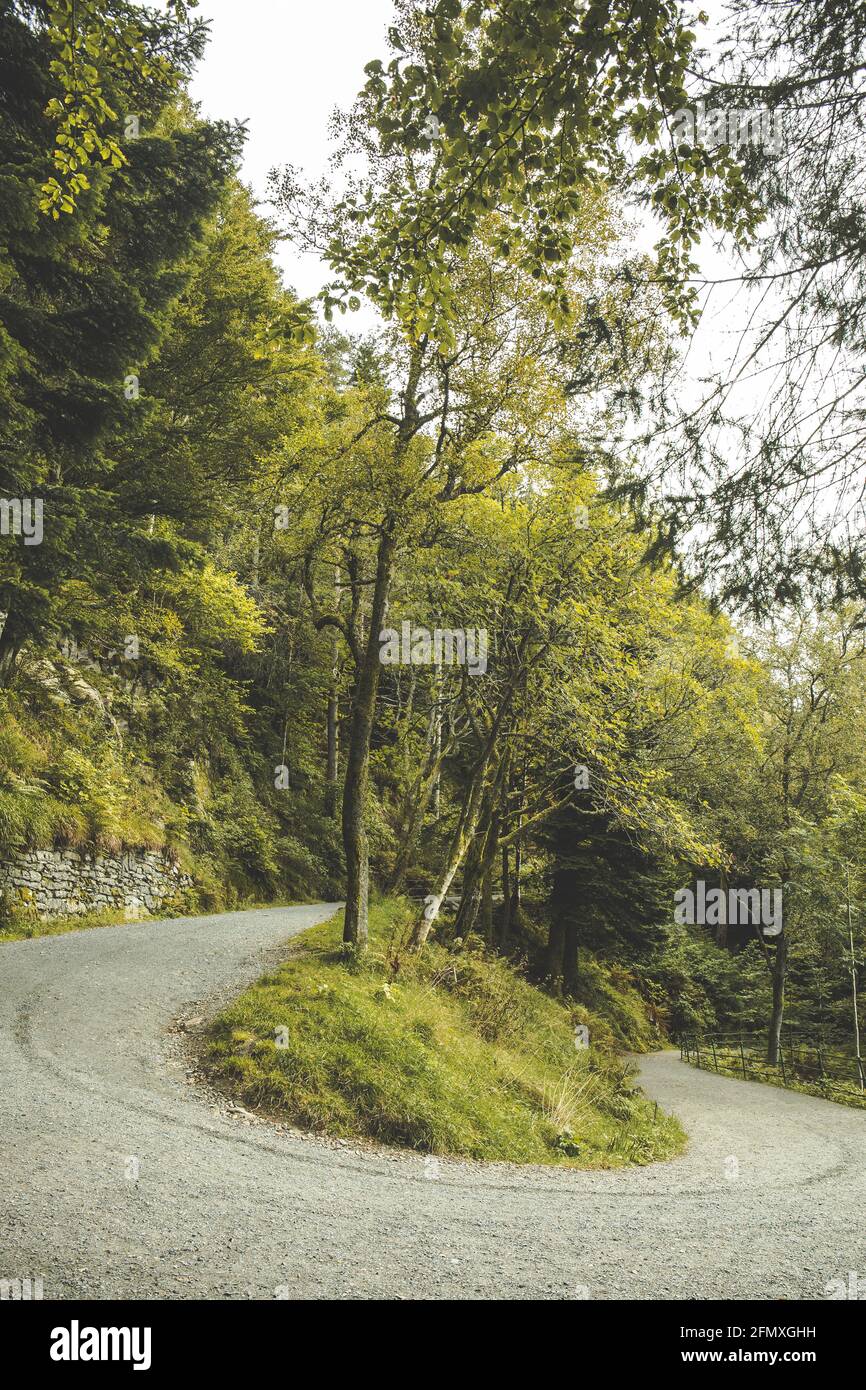 Curved path surrounded by trees hi-res stock photography and images - Alamy