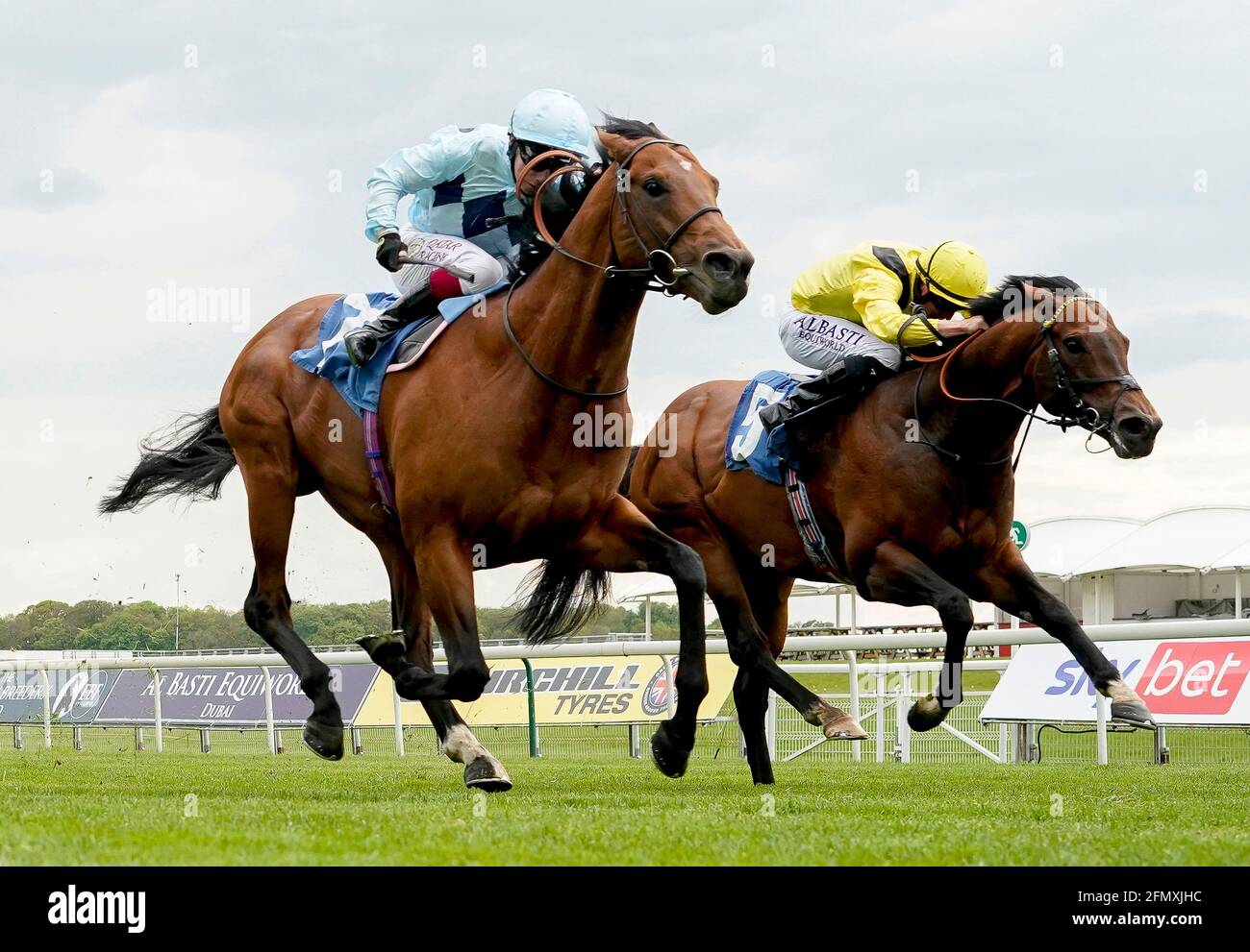 Starman horse hi-res stock photography and images - Alamy