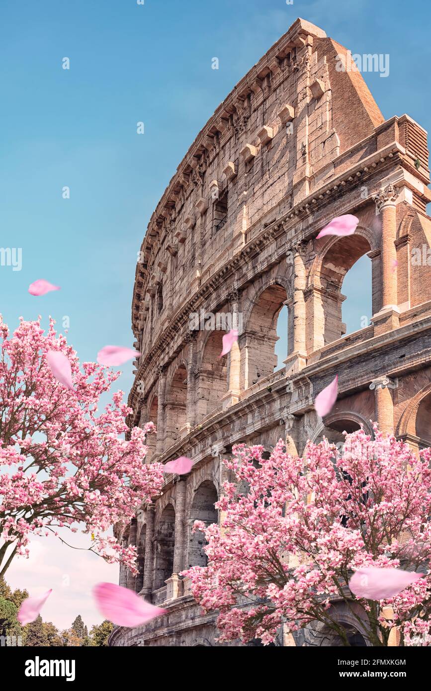 Colosseo colosseum hi-res stock photography and images - Alamy