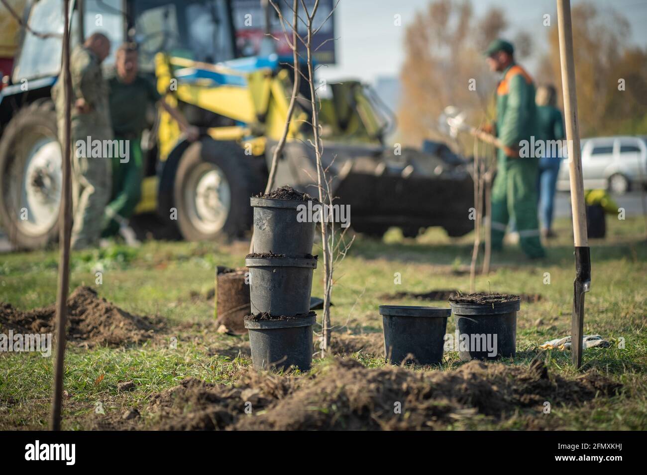 planting new trees with gardening tools in green park Stock Photo - Alamy