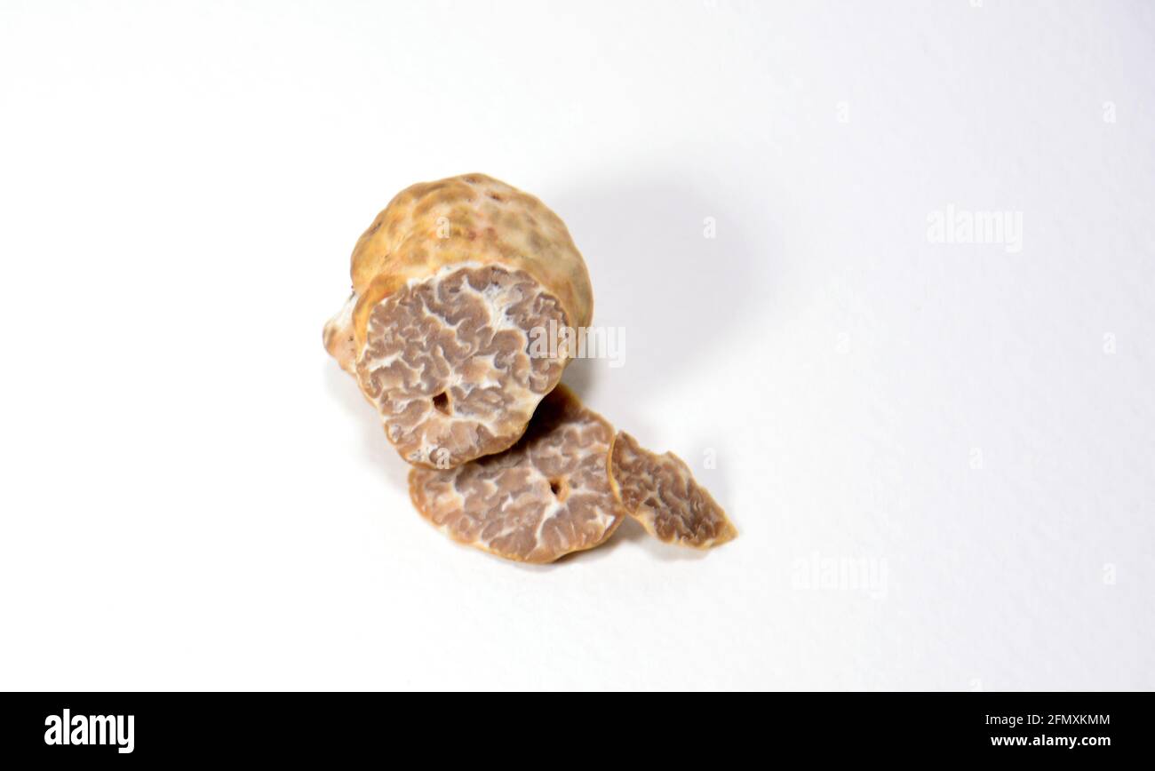 white truffle isolated on black / white background Stock Photo - Alamy
