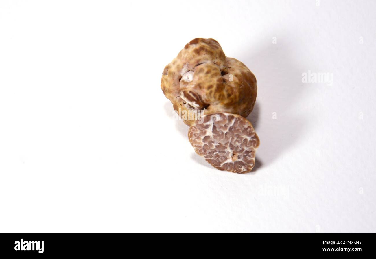 white truffle isolated on black / white background Stock Photo - Alamy