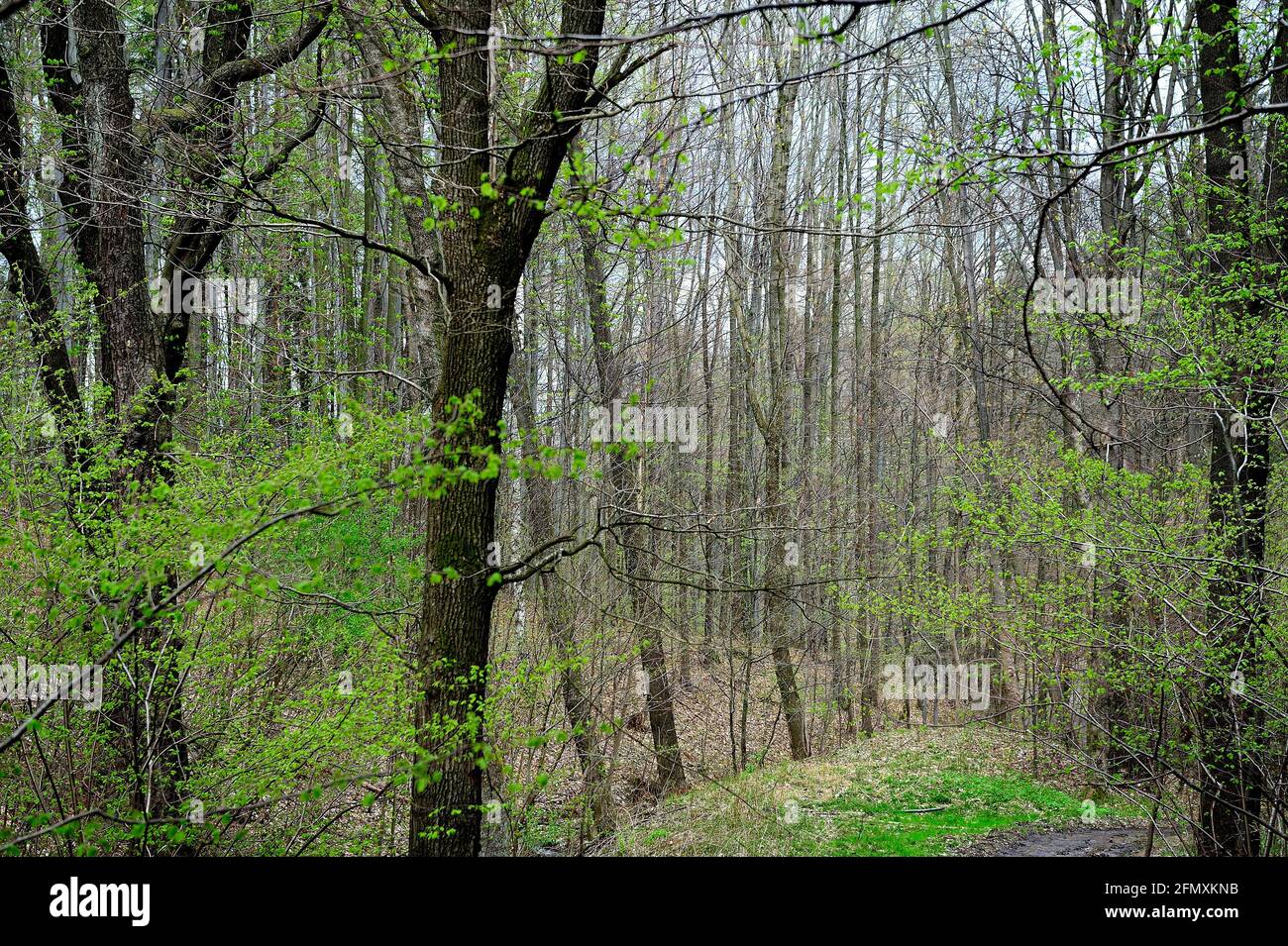 background, beautiful, clear, colorful, country, countryside ...