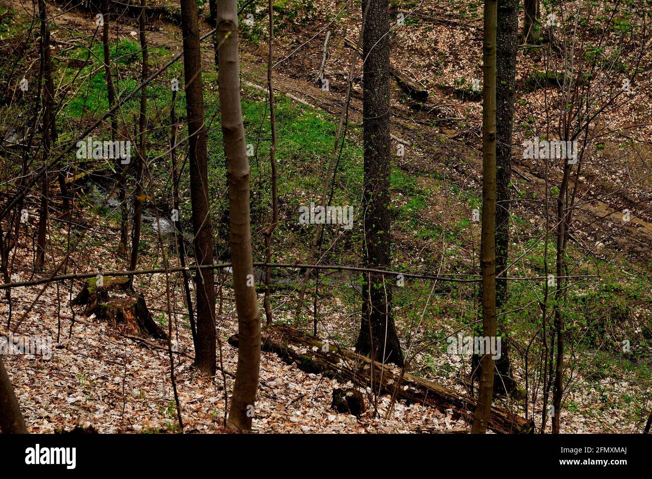 background, beautiful, clear, colorful, country, countryside ...