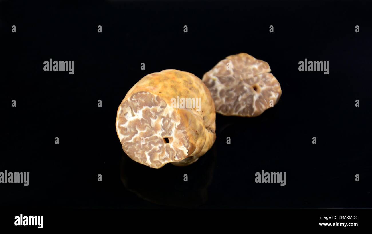 white truffle isolated on black / white background Stock Photo - Alamy
