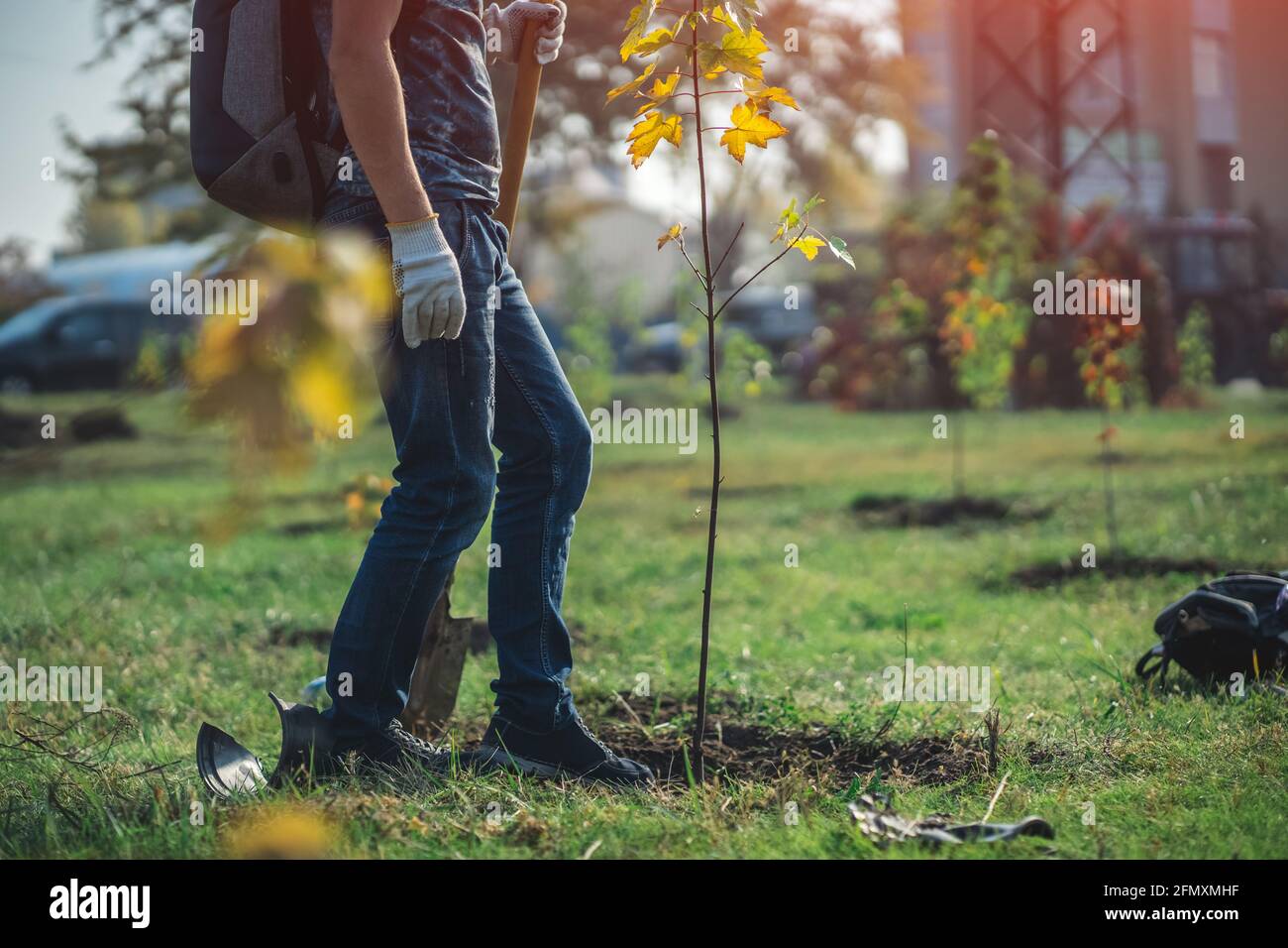 planting new trees with gardening tools in green park Stock Photo - Alamy
