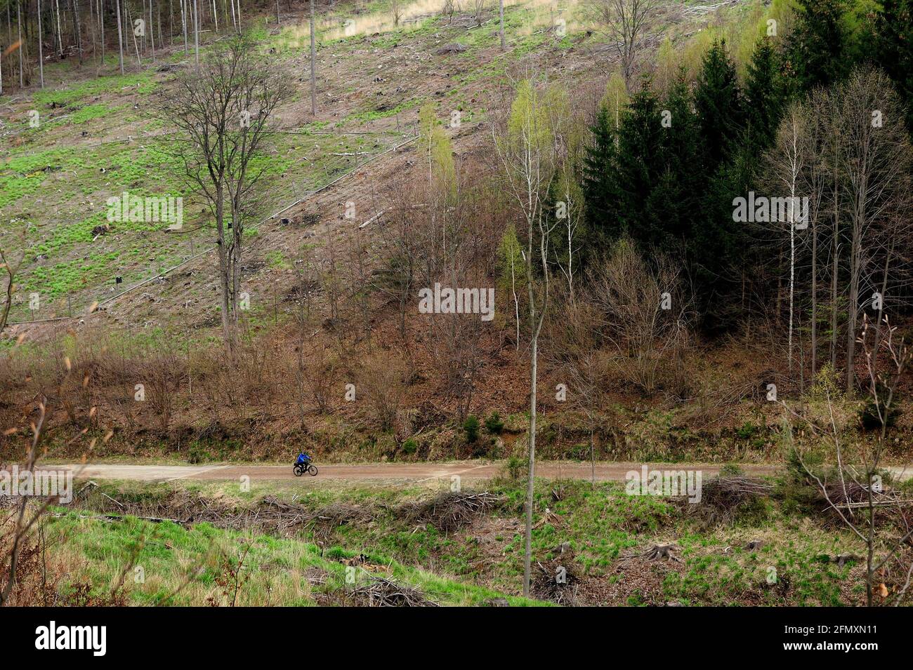 background, beautiful, clear, colorful, country, countryside ...