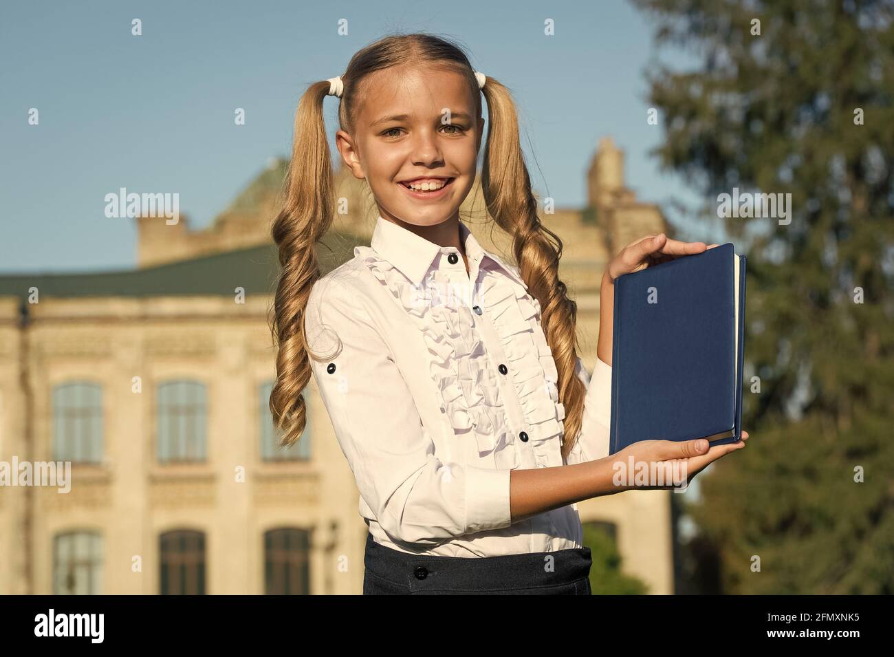 Excellent student girl study with school book outdoors, september ...