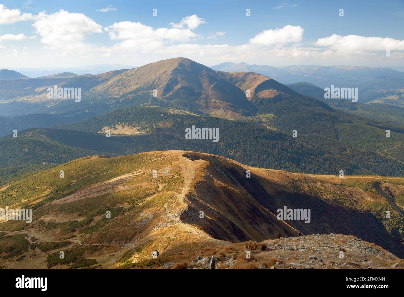 Carpathian national park ukraine hi-res stock photography and images ...