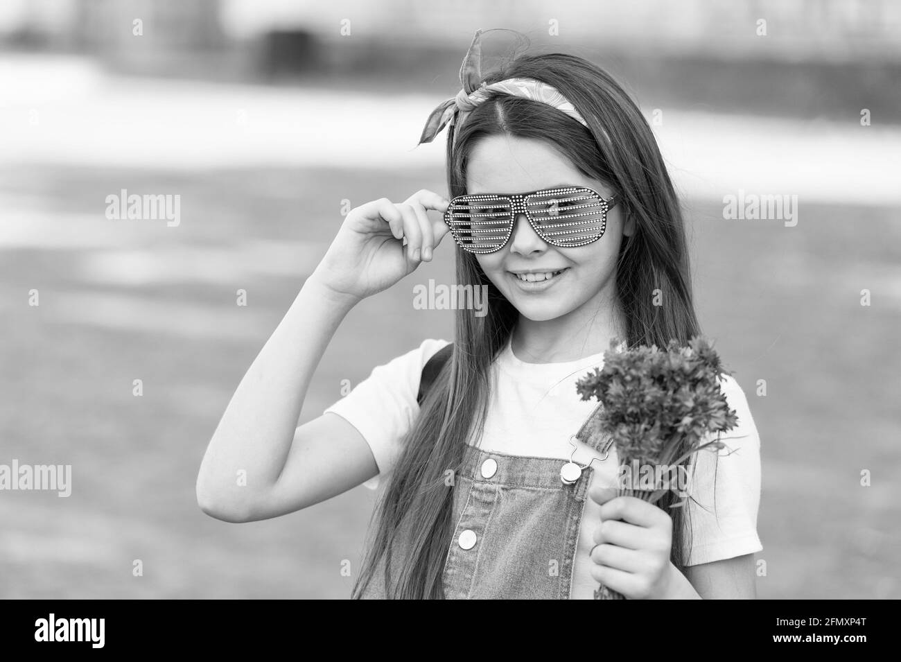 Fancy girl fresh cornflowers bouquet summer season, birthday party ...